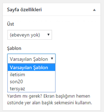 Wordpress'de Yeni Özel Sayfa Şablonu Oluşturma » Nays TR